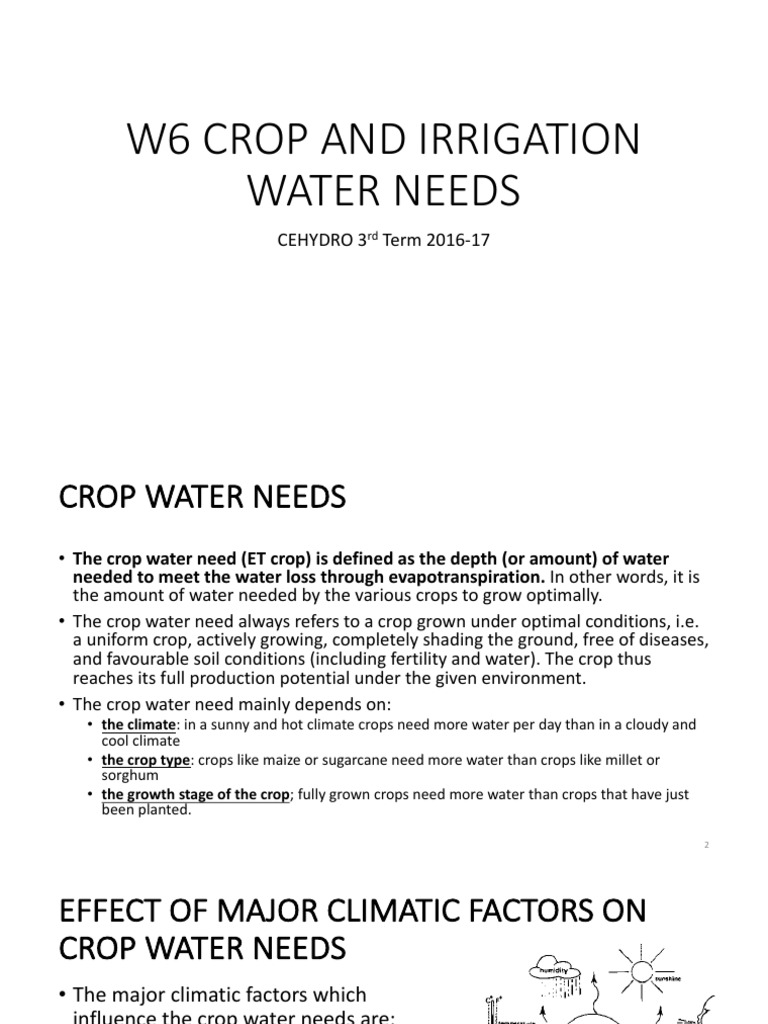 Crop Water Requirements and ETo Methods | PDF | Evapotranspiration | Rain