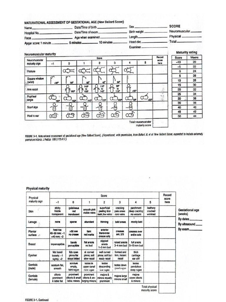 Paediatric Ballard Score Glasgow Uni Osce New – 2018