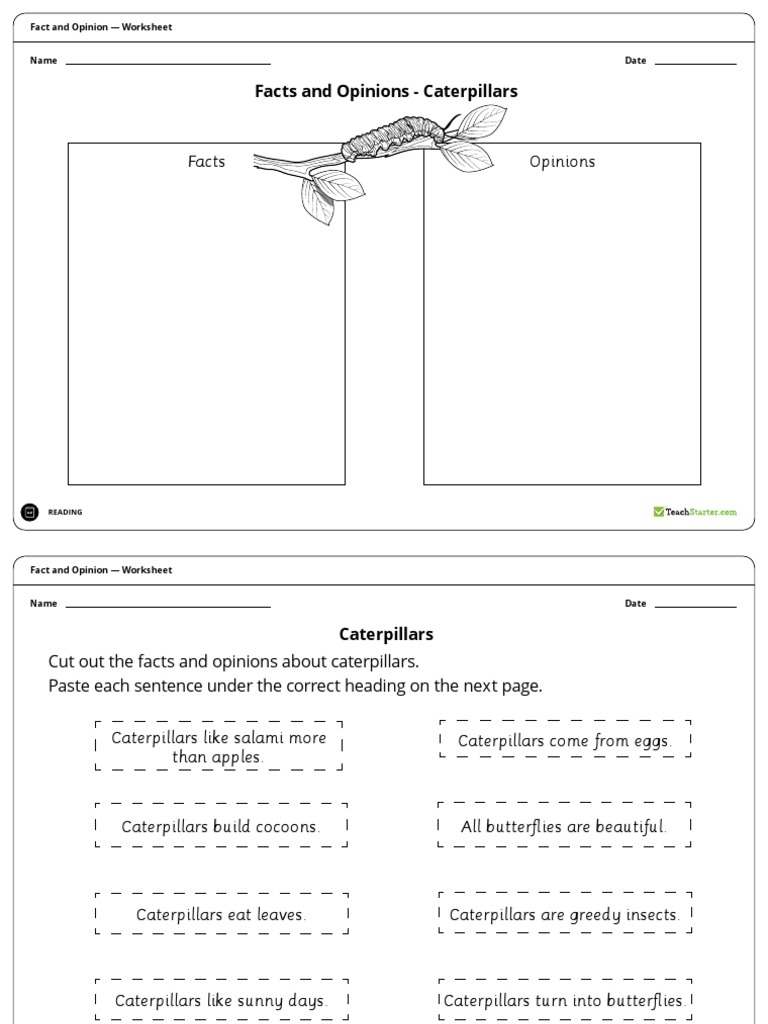 Teachstarter Facts and Opinions Caterpillars | PDF