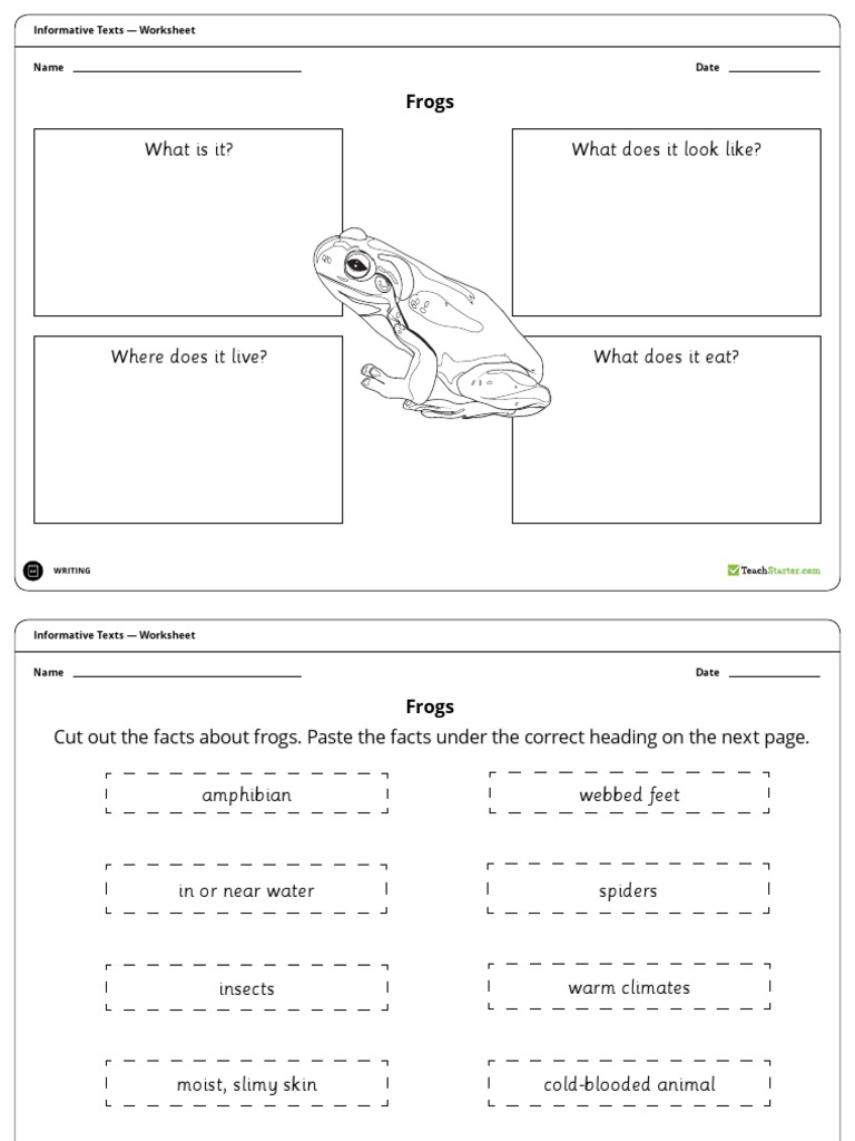 Teachstarter Informative Text Structure Sorting Activity Complete Set ...