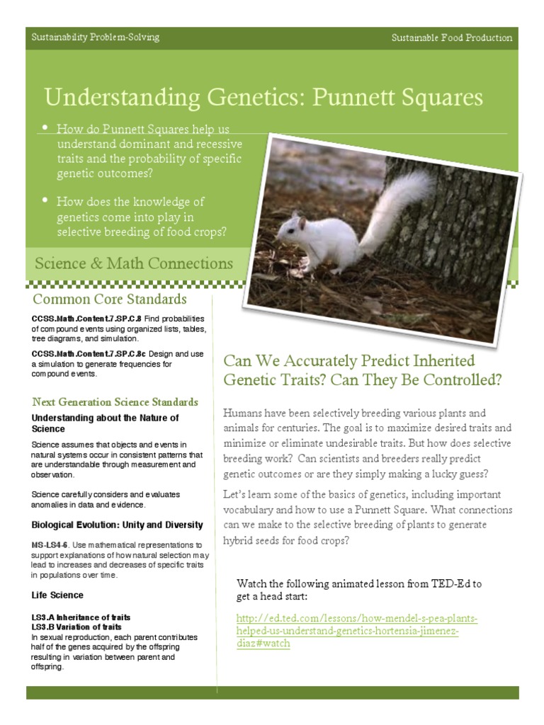 SFP Punnet Squares Lesson | PDF | Dominance (Genetics) | Allele