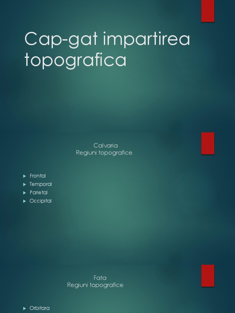 Cap-Gat Impartirea Topografica | PDF