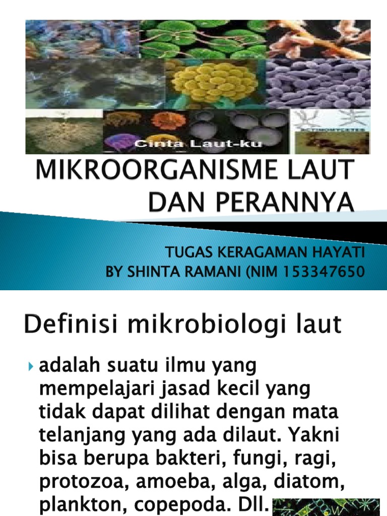 Mikroorganisme Laut | PDF