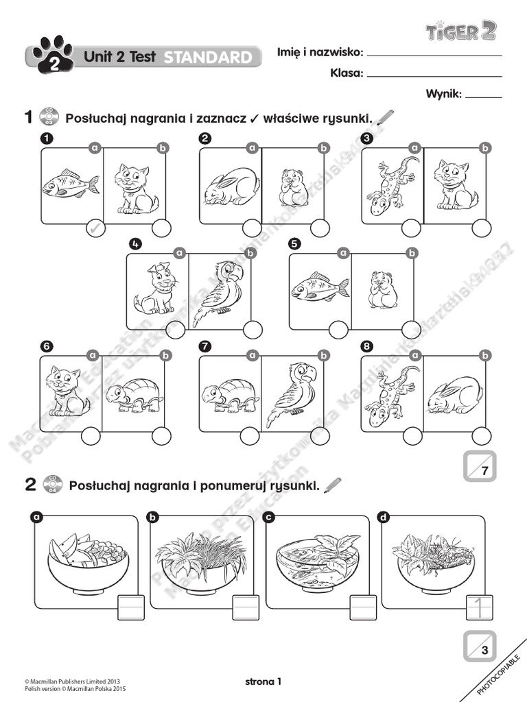 Tiger 2 Unit 2 Test Standard | PDF