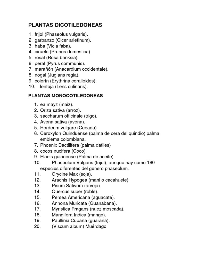 Plantas Dicotiledoneas | PDF