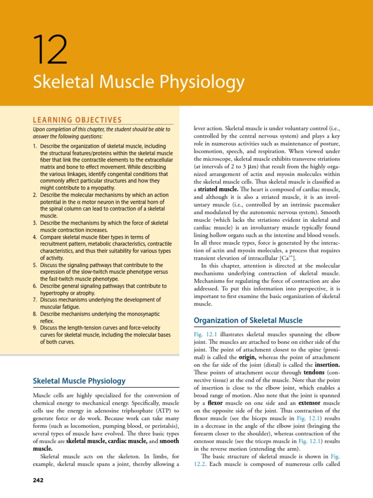 Skeletal Muscle Physiology | PDF | Muscle Contraction | Muscle