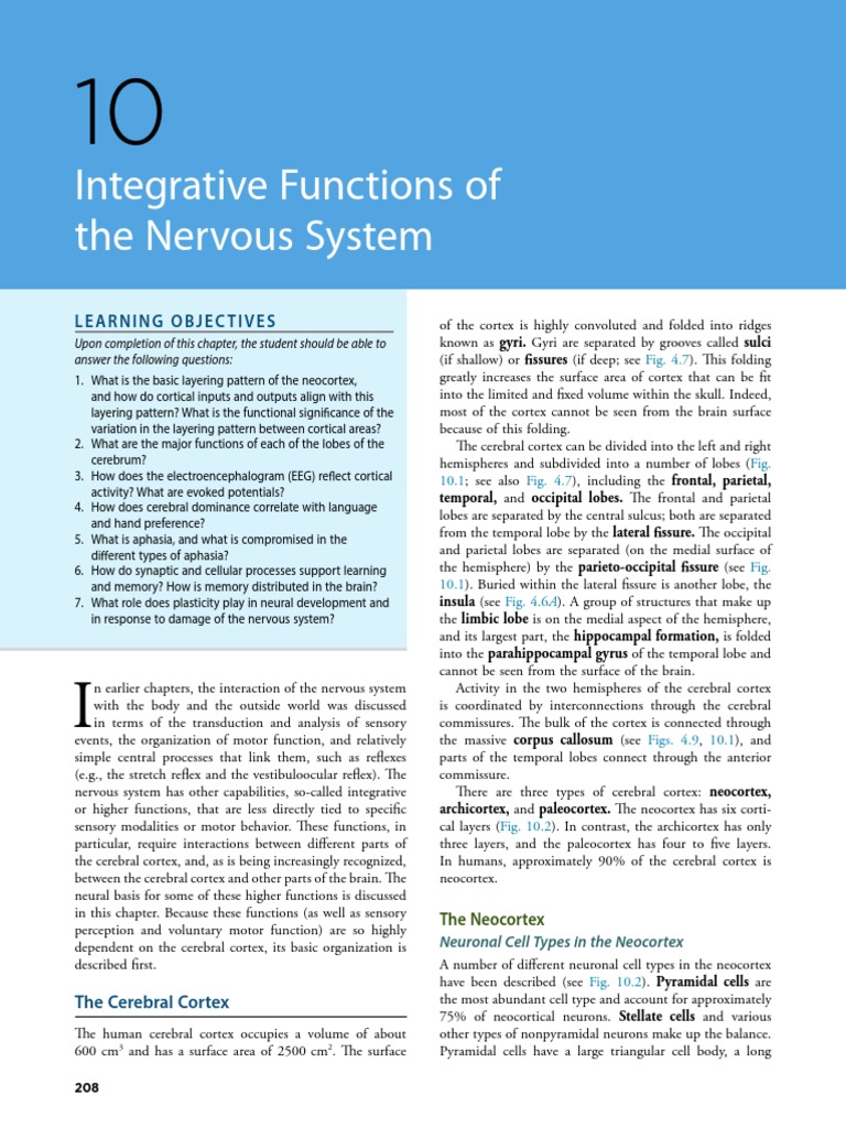 Integrative Functions of the Nervous System | Cerebral Cortex ...