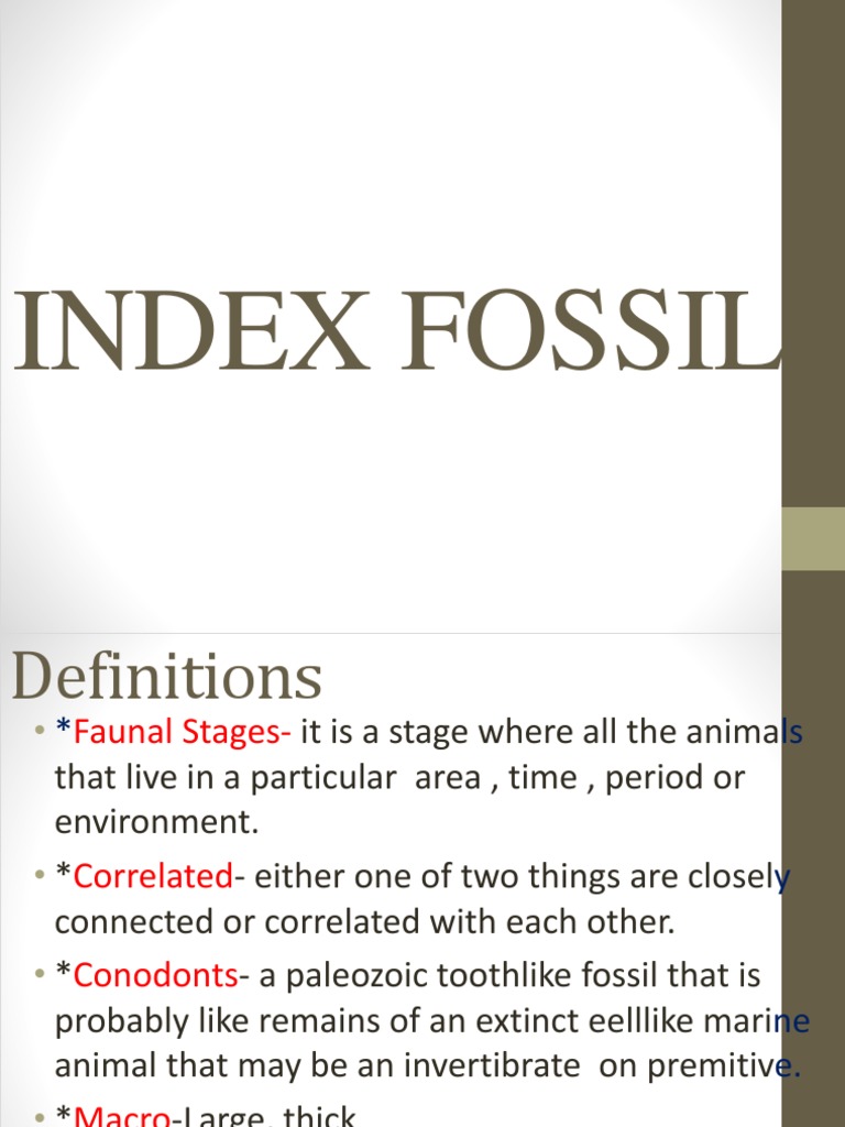 Understanding Index Fossils and Their Use | PDF | Fossil | Geology