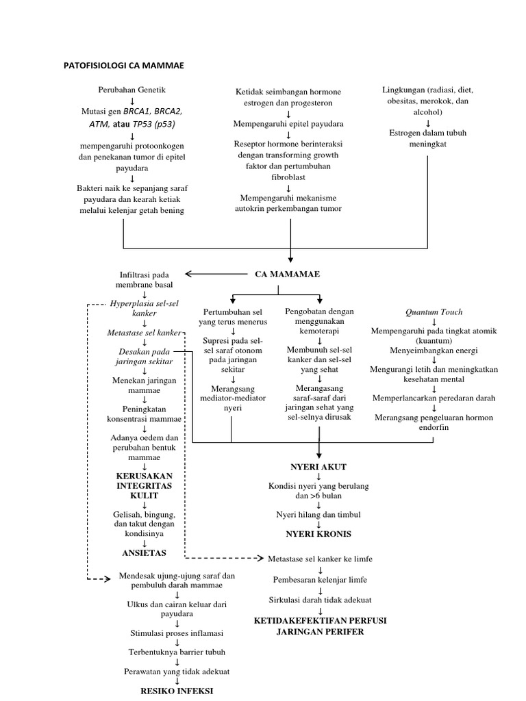 Pathway Ca Mammae | PDF