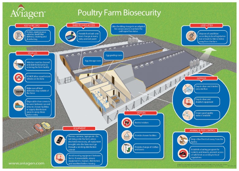 Poster Biosecurity en 2017 2 | PDF