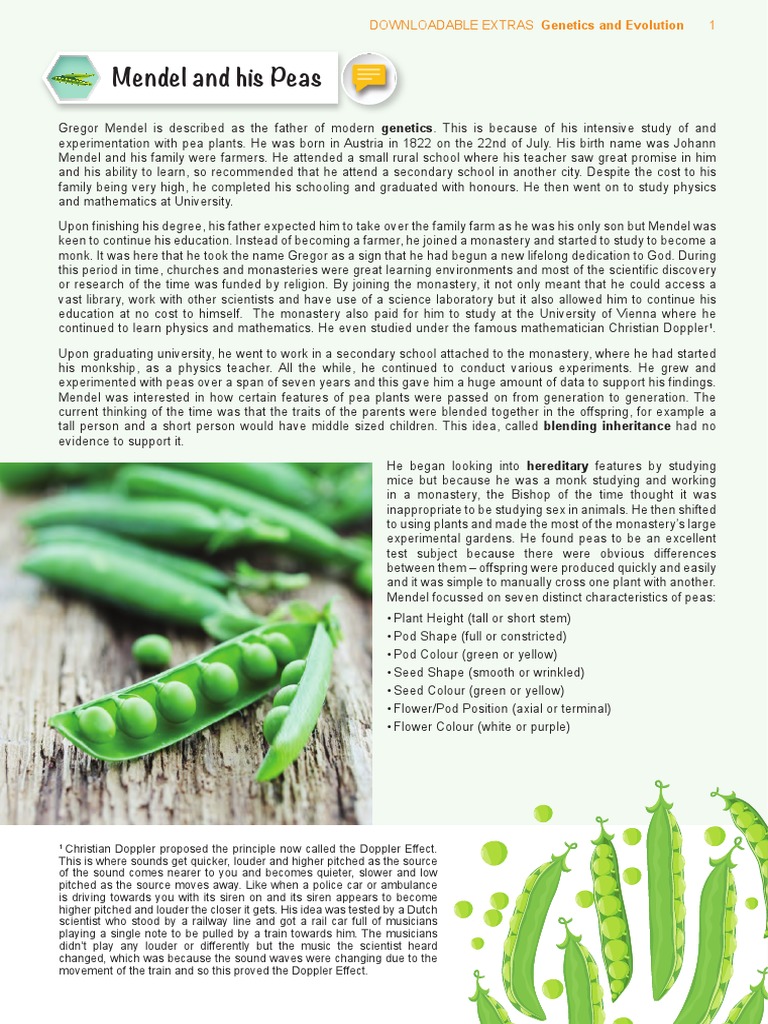 Genetics Mendel and His Peas | PDF | Heredity | Pea