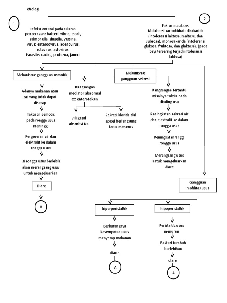 Pathway Diare 1,2 | PDF