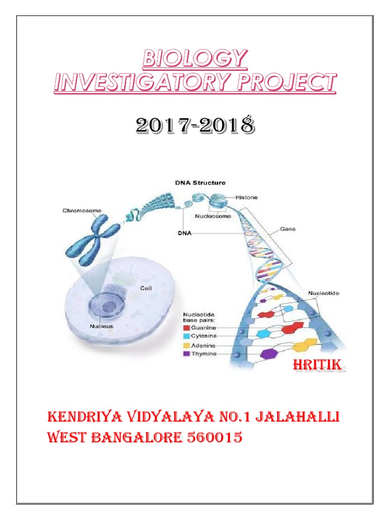 Biology Investigatory Project-Biotech | Plasmid | Molecular Cloning