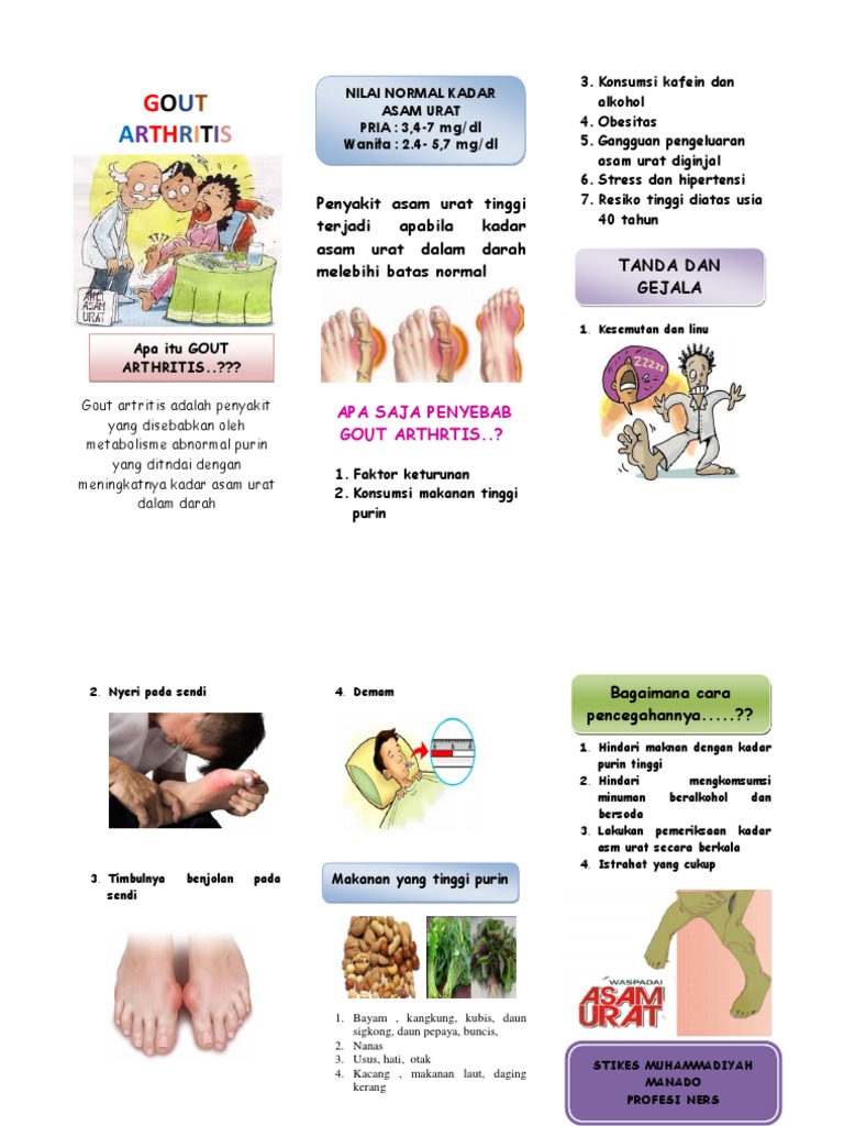 Leaflet Asam Urat | PDF