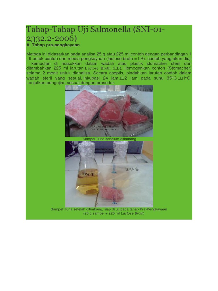 Uji Salmonella | PDF
