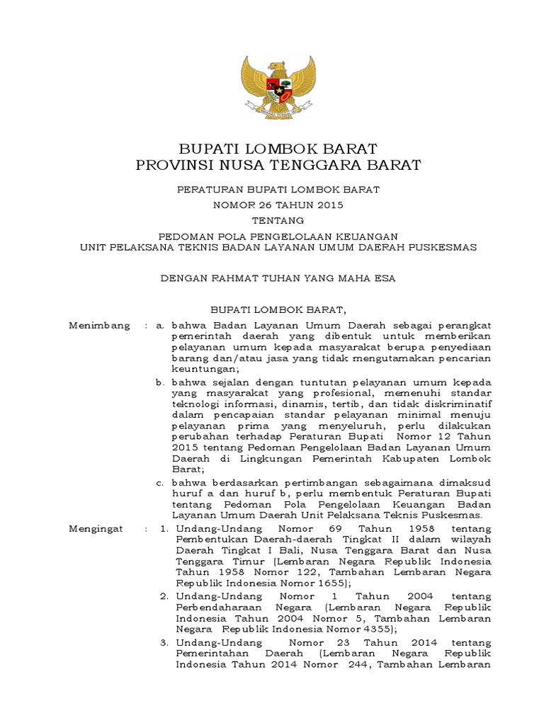 Contoh Perbup Blud | PDF