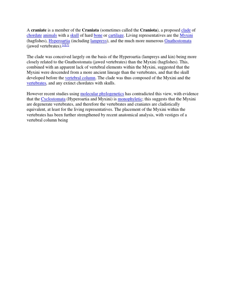Clade Chordate Animals Skull Bone Cartilage Myxini Hyperoartia Lampreys ...
