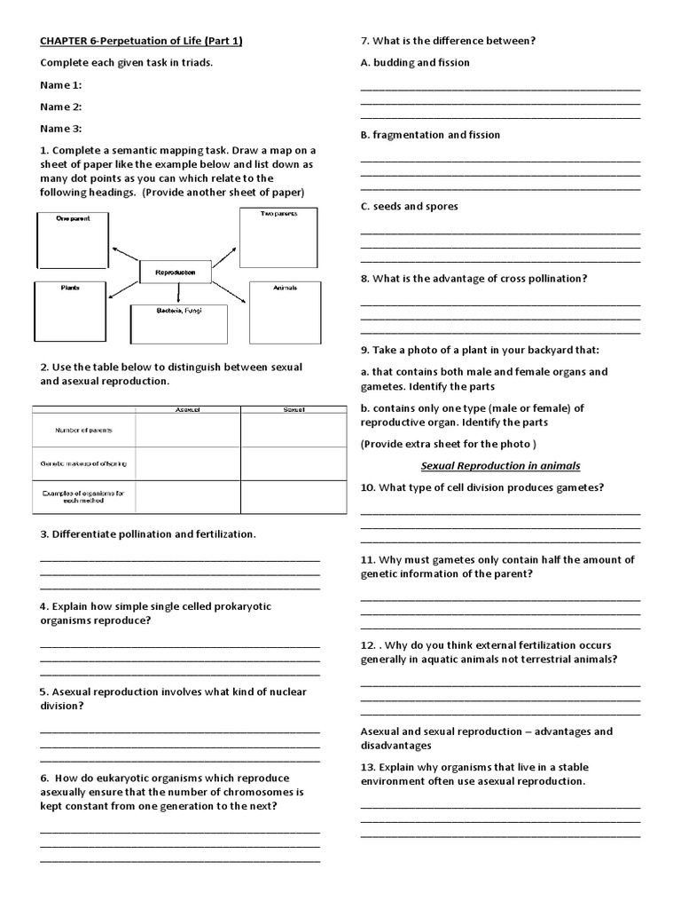 CHAPTER 6 Worksheet | PDF | Sexual Reproduction | Reproduction