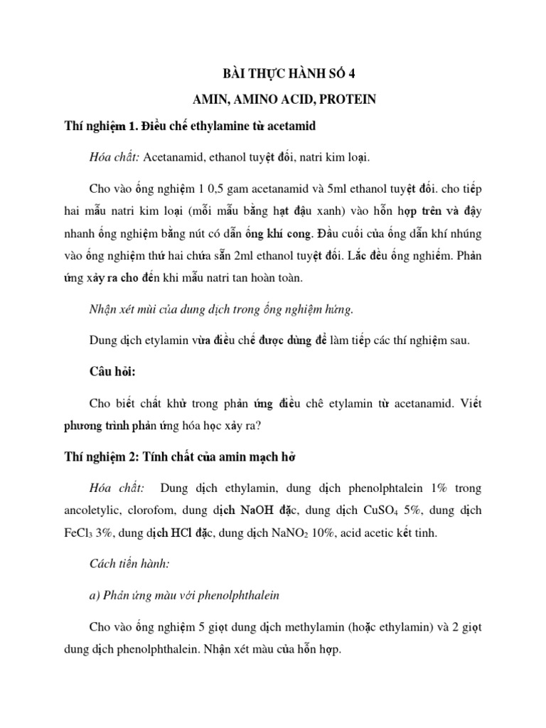 Bai Thuc Hanh So 4 | PDF