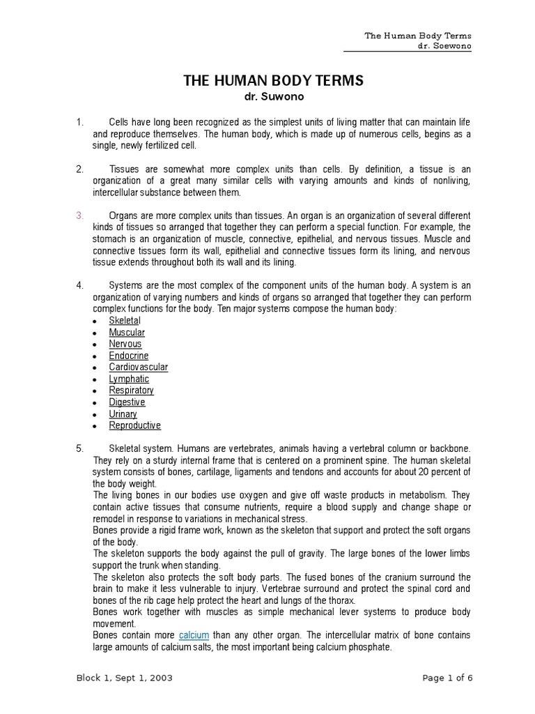 The Human Body Terms: Dr. Suwono | PDF | Digestion | Reproductive System