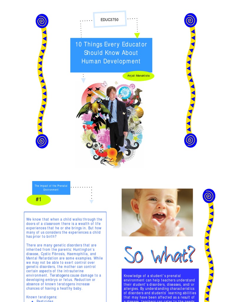 10 Things Every Educator Should Know About Human Development | PDF ...