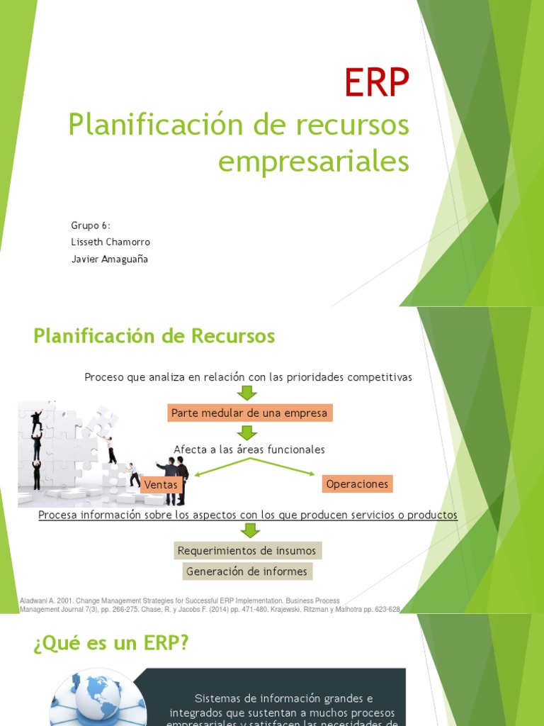 Sistema ERP | PDF | Planificación de recursos empresariales | Procesos de negocio