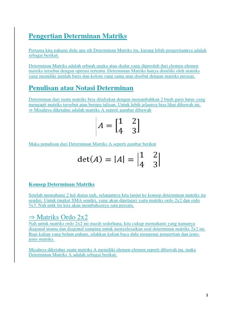Pengertian dan Contoh Determinan Matriks | PDF