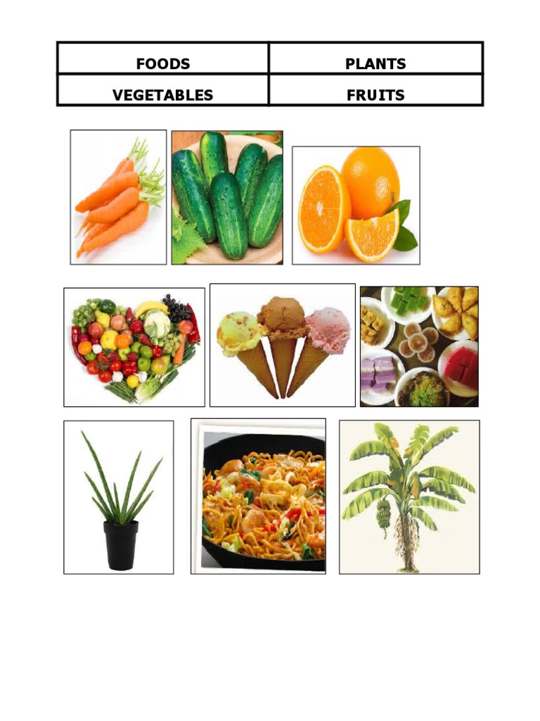 Foods Plants Vegetables Fruits | PDF | Agronomy | Plants