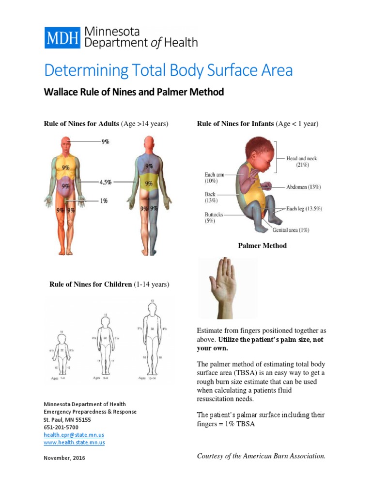 Determining Total Body Surface Area: Wallace Rule of Nines and Palmer ...