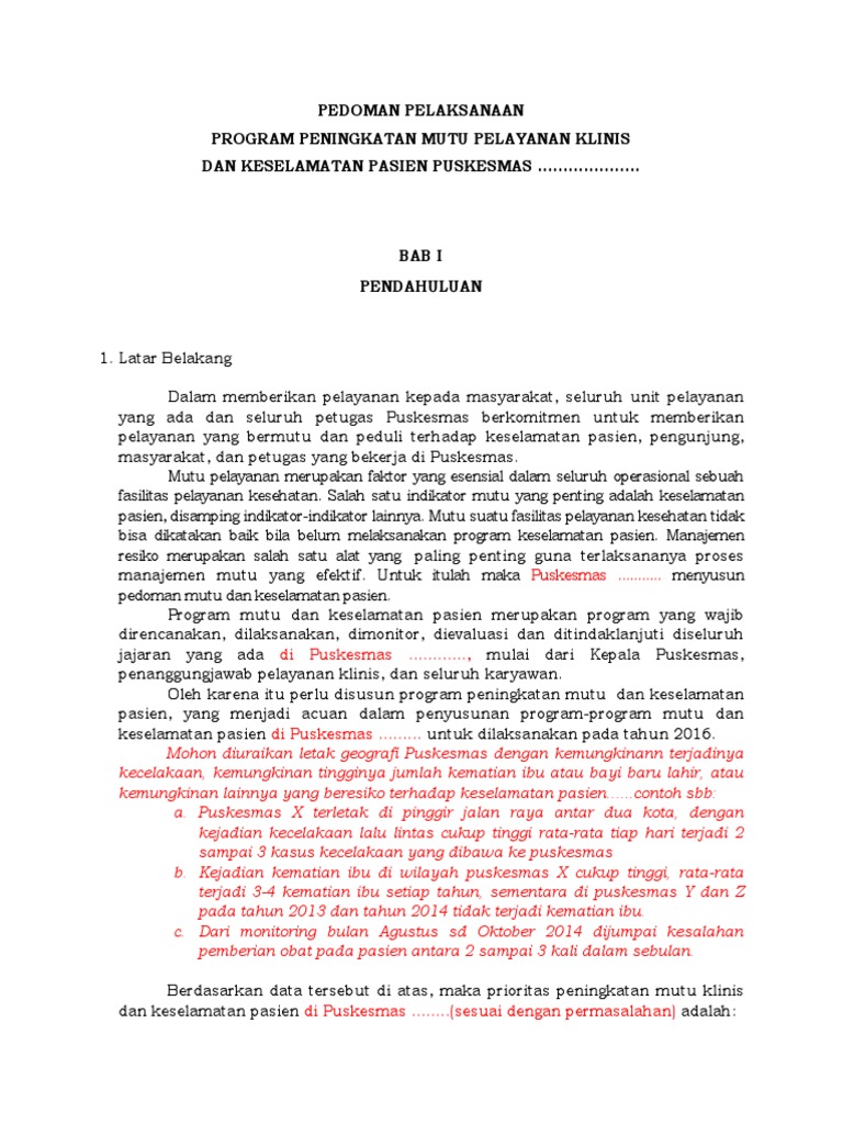 Contoh Pedoman Peningkatan Mutu Klinis Dan Keselamatan Pasien | PDF