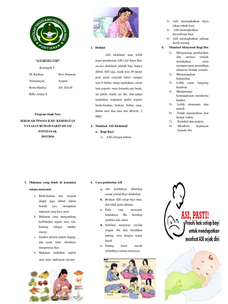 Leaflet Asi Eksklusif | PDF