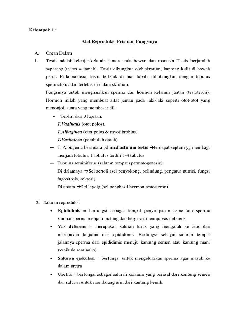 Alat Reproduksi Pria Dan Fungsinya | PDF
