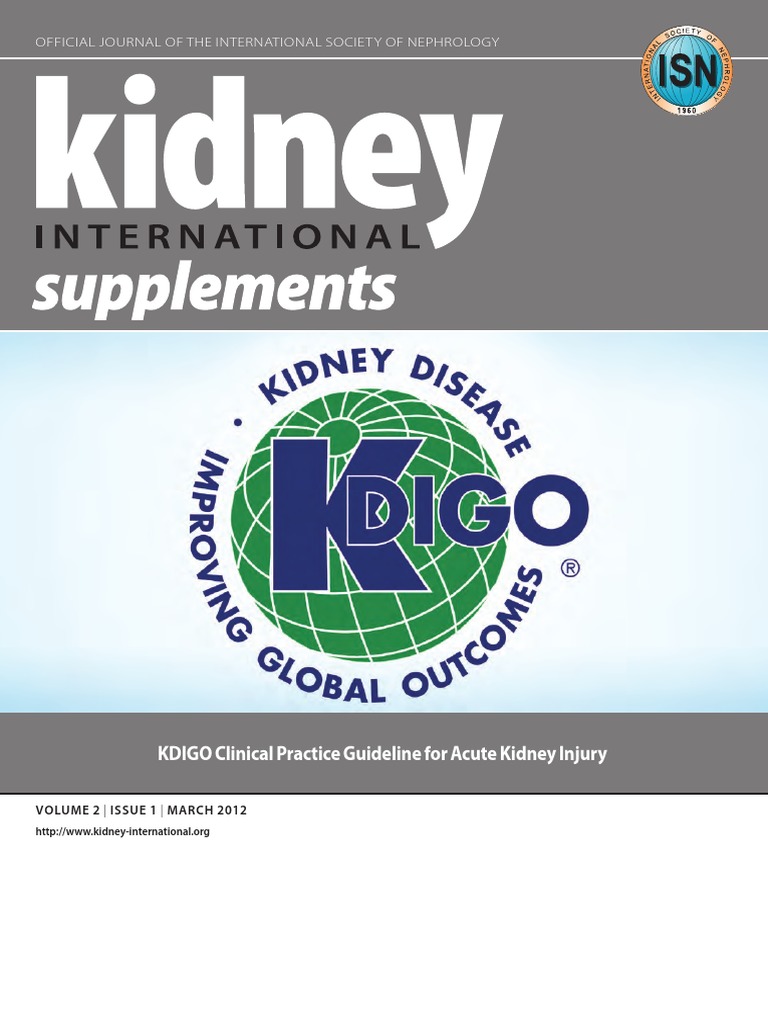 Kdigo PDF | PDF | Renal Function | Chronic Kidney Disease