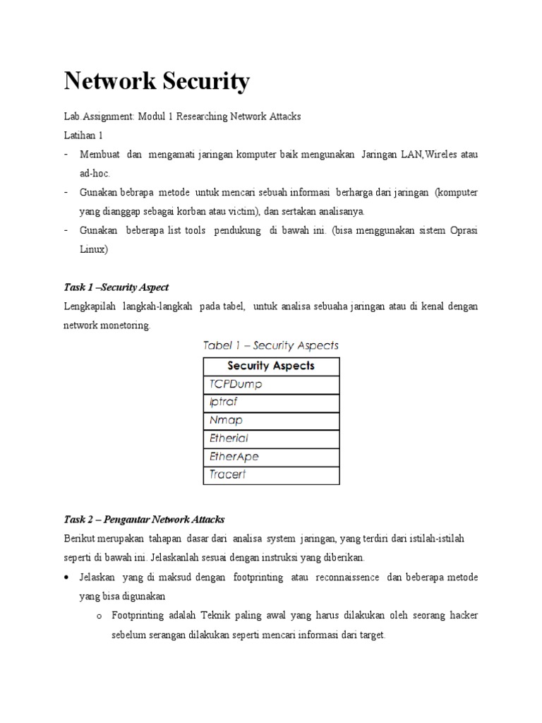 Network Security | PDF