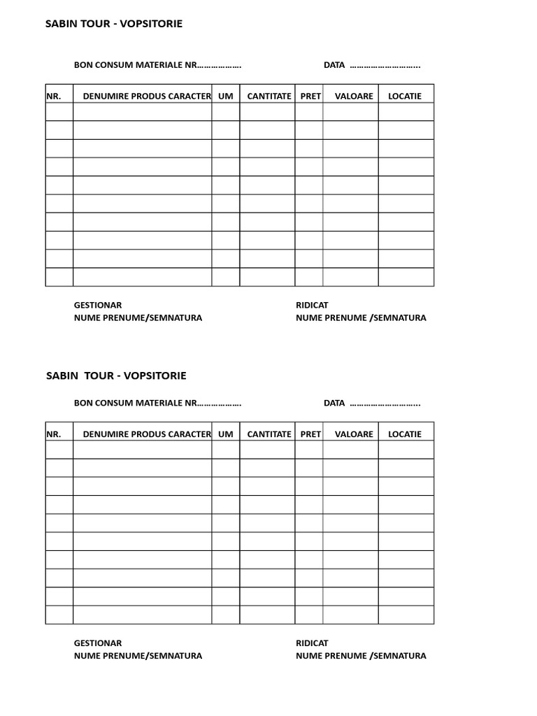 Bon Consum Model | PDF