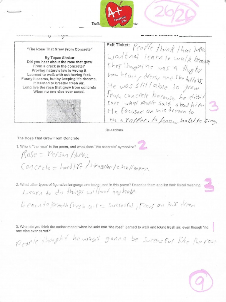 The Rose That Grew From Concrete 1st Page | PDF