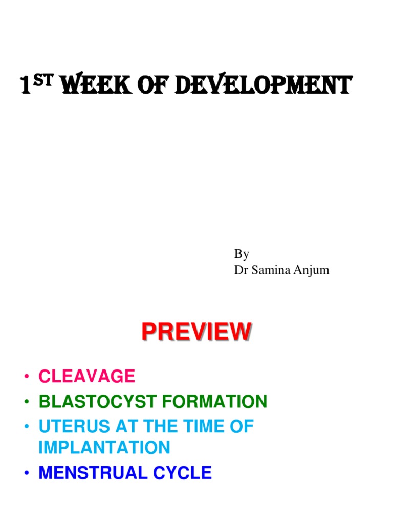 1 Week of Development: by DR Samina Anjum | PDF | Implantation (Human ...