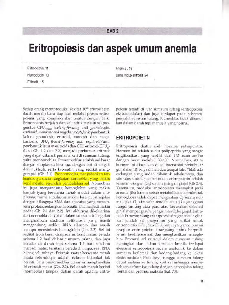 Proses Eritropoiesis dan Anemia | PDF
