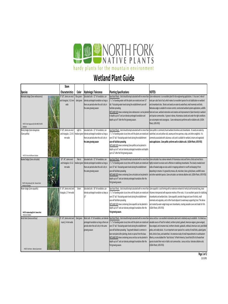 Wetland Plant Guide: Species Stem Characteristics Color Hydrologic ...