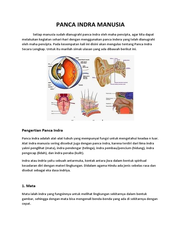 Panca Indra: Fungsi dan Bagian | PDF