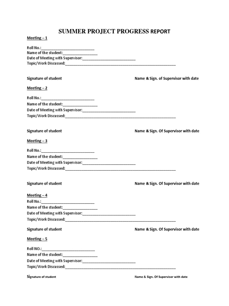 Summer Project Progress Report Template | PDF