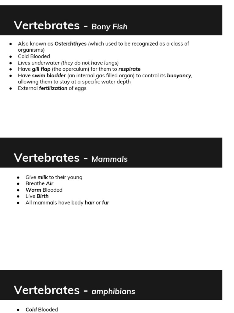Vertebrates and Invertebrates | PDF | Science & Mathematics