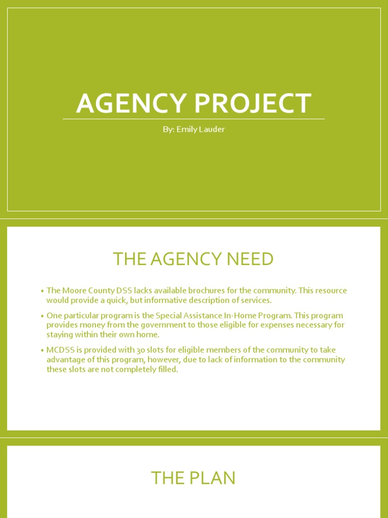 Agency Project | PDF
