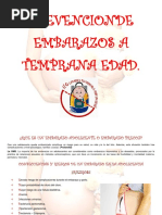 Brandt Andrews | PDF | Partería | Parto