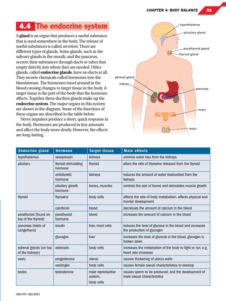 Science Essentials 9 For NSW Stage 5 Australian Curriculum Edition ...