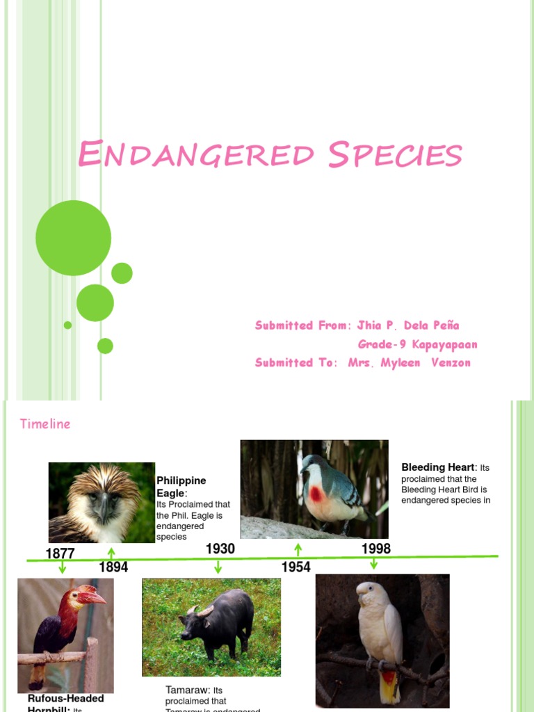 Endangered Species | PDF | Birds | Organisms