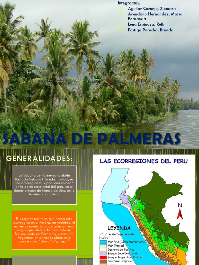 Sabana de Palmeras en Perú: Clima y Fauna | PDF | Clima | Suelo