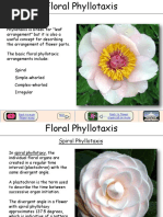 Flower | PDF | Plant Reproduction | Flowers