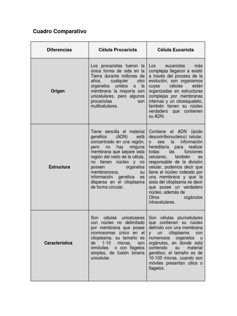 Cuadro Comparativo Célula Procariota-Eucariota | PDF | Nucleo celular ...