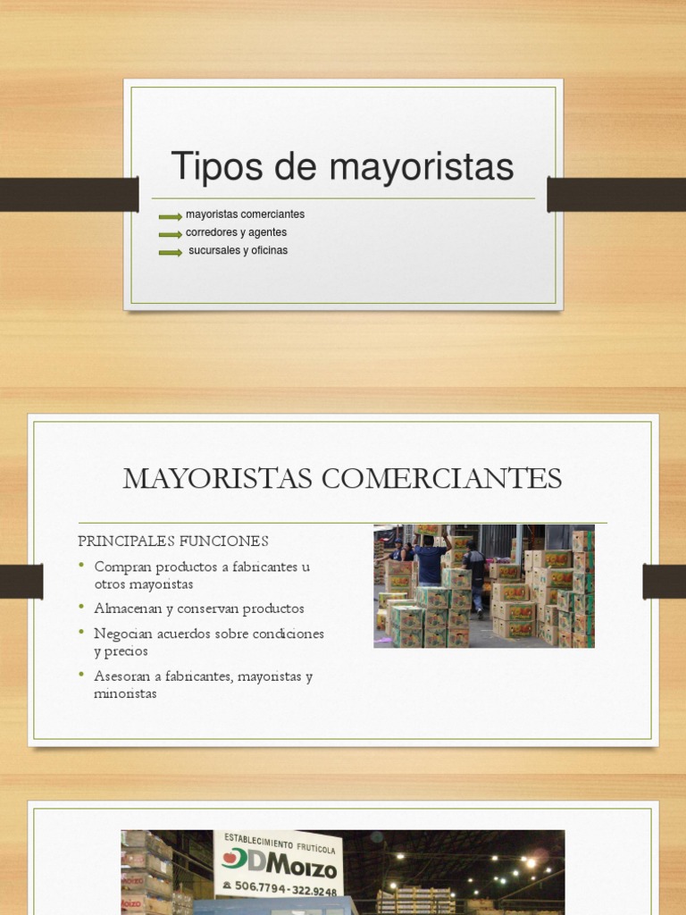 Tipos de Mayoristas